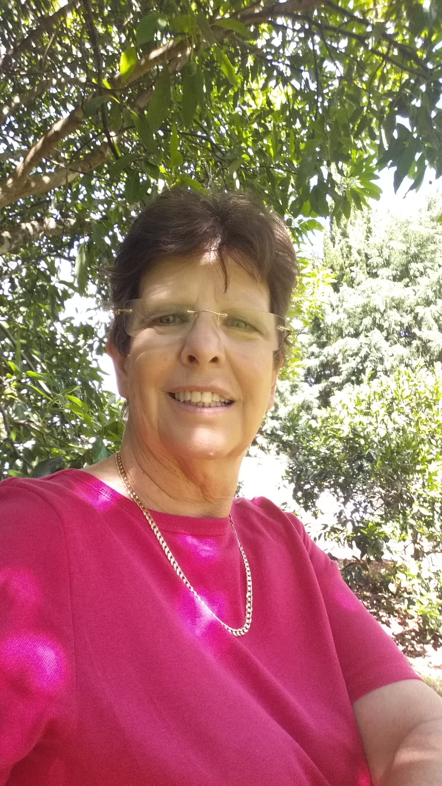 Australian Bridge Federation » Denise Merrin